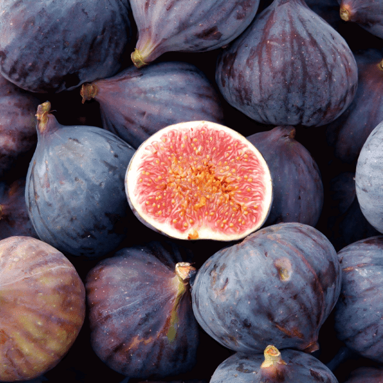 Smochin Violette de Sollies – Lux Garden